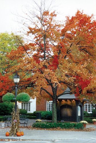 Finding Fall Colors — Ranch & Coast Magazine