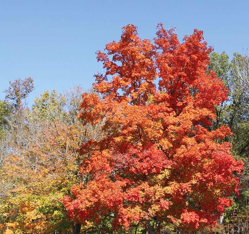 Finding Fall Colors — Ranch & Coast Magazine