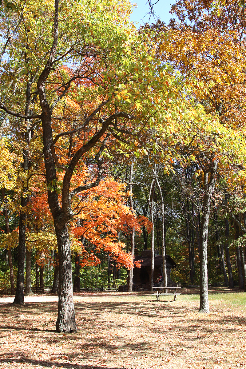 Finding Fall Colors — Ranch & Coast Magazine