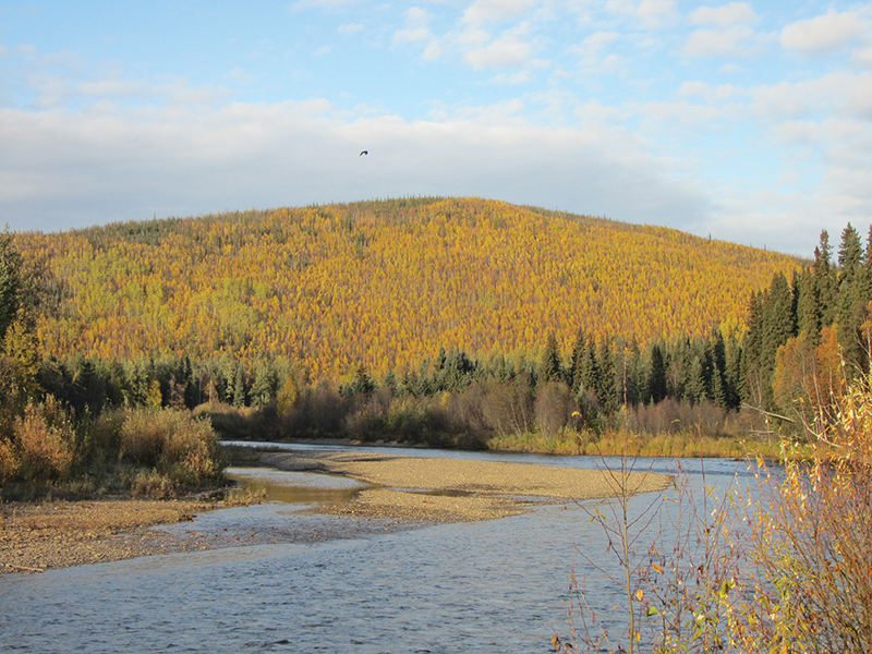 Finding Fall Colors — Ranch & Coast Magazine