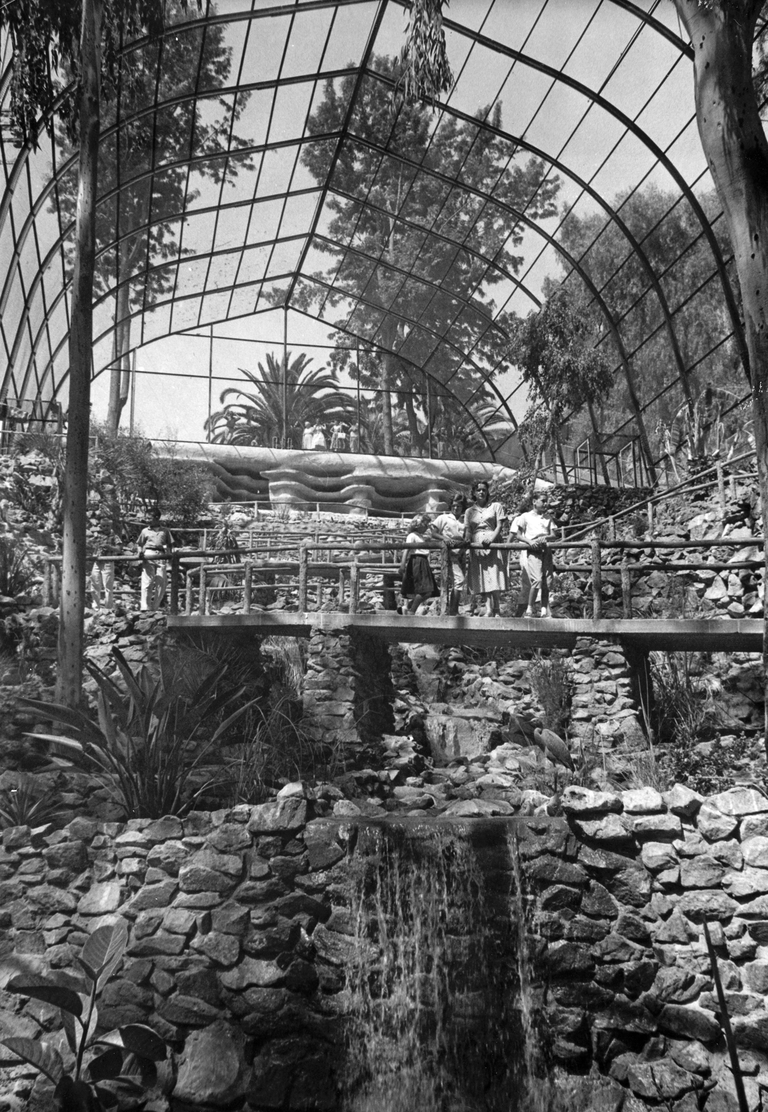 Celebrating 100 Years of the San Diego Zoo — Ranch & Coast Magazine