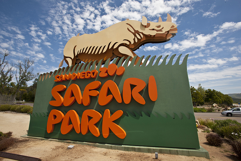 Celebrating 100 Years of the San Diego Zoo — Ranch & Coast Magazine