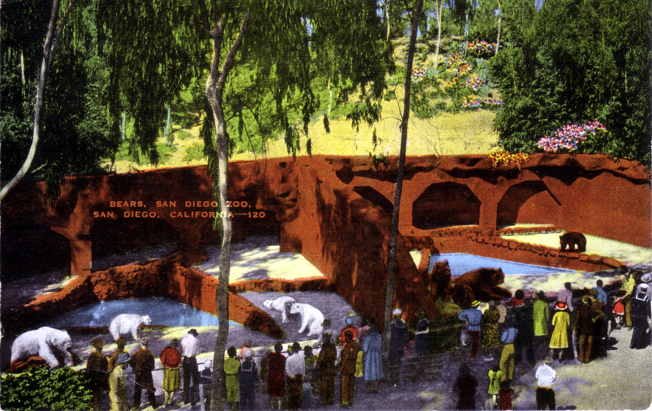 Celebrating 100 Years of the San Diego Zoo — Ranch & Coast Magazine