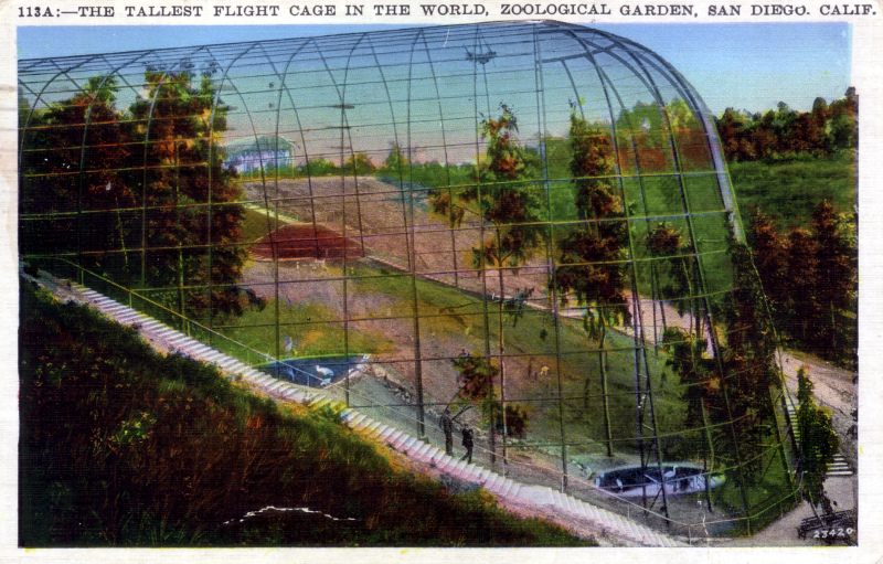Celebrating 100 Years of the San Diego Zoo — Ranch & Coast Magazine