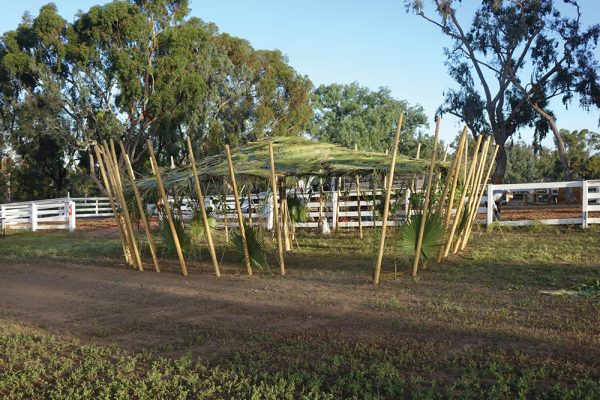 Sukkot Harvest Festival — Ranch & Coast Magazine