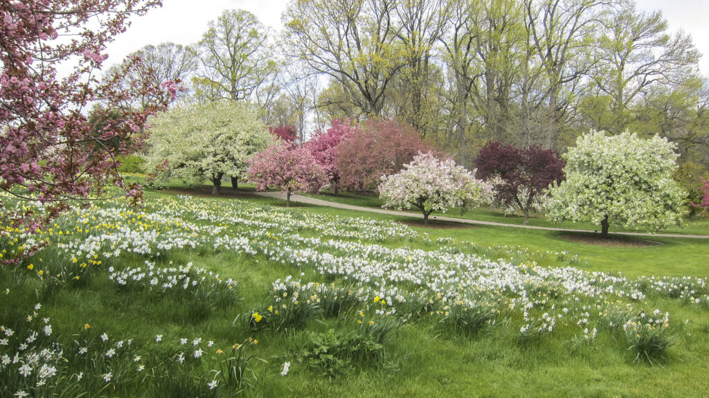 Great Spring Gardens — Ranch & Coast Magazine