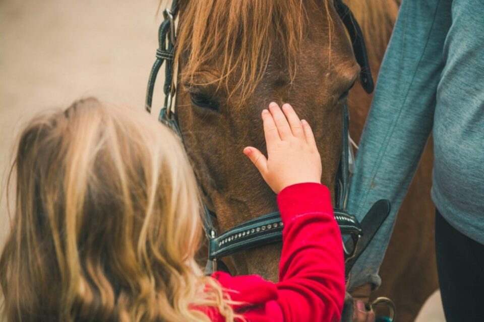 Video: Laughing Pony Rescue — Ranch & Coast Magazine
