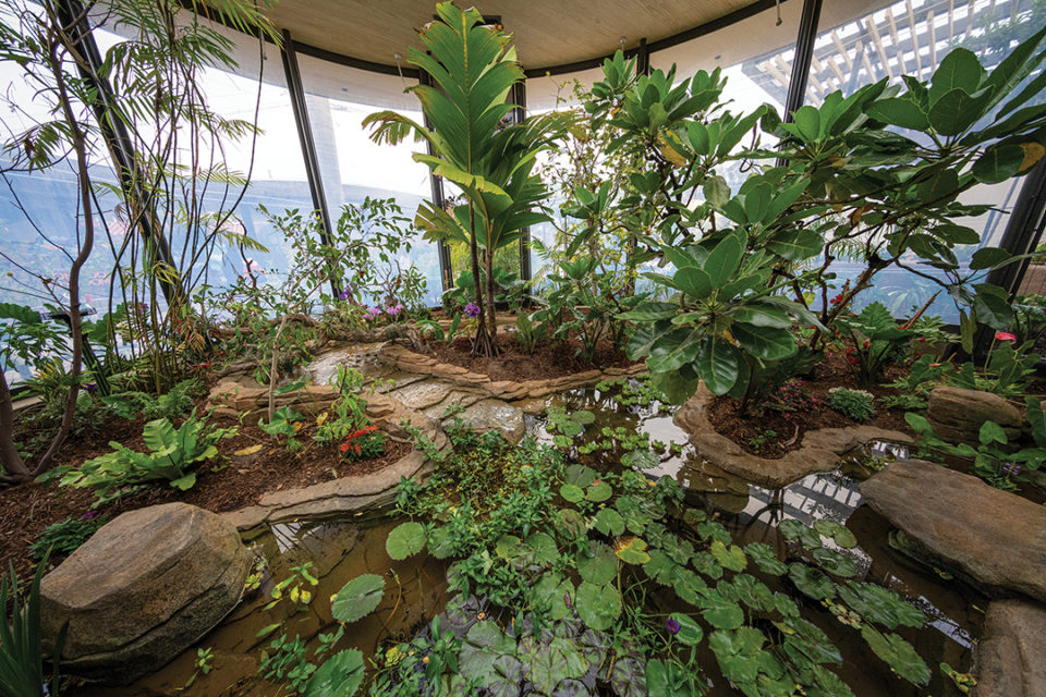 The Green Thumb of Zoo Drive — Ranch & Coast Magazine