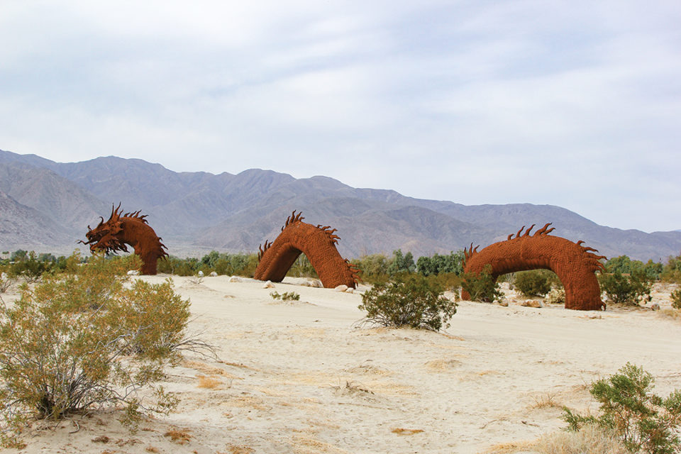 Discover spring beauty in Borrego — Ranch & Coast Magazine