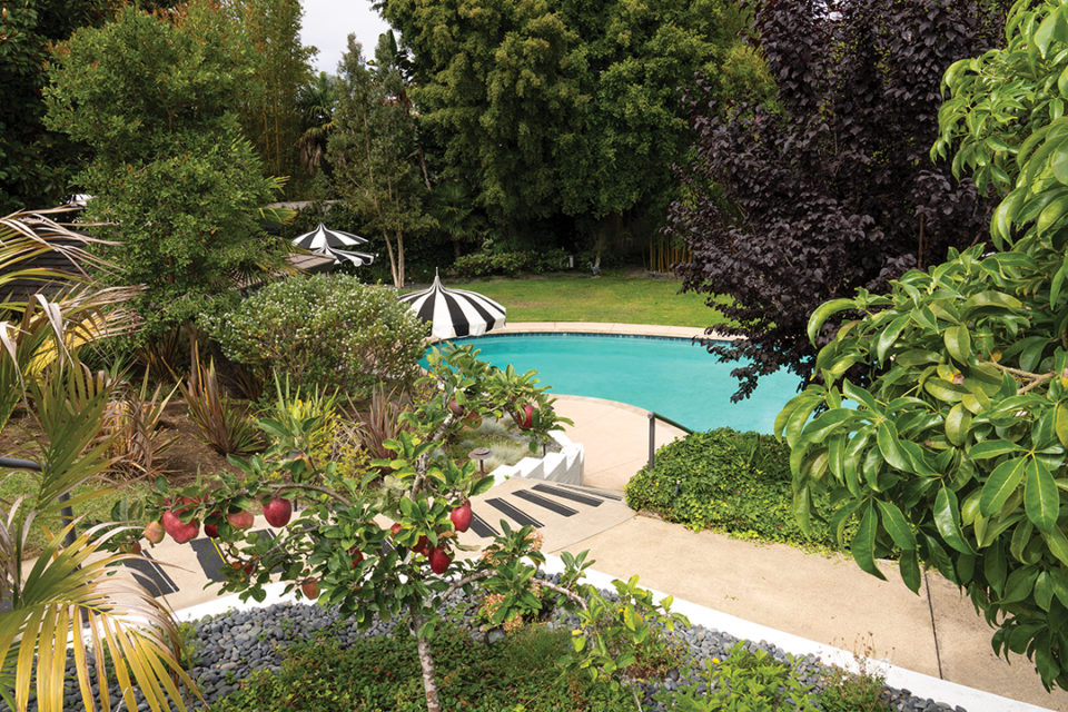 At Home With Elizabeth and Ron Davidson — Ranch & Coast Magazine