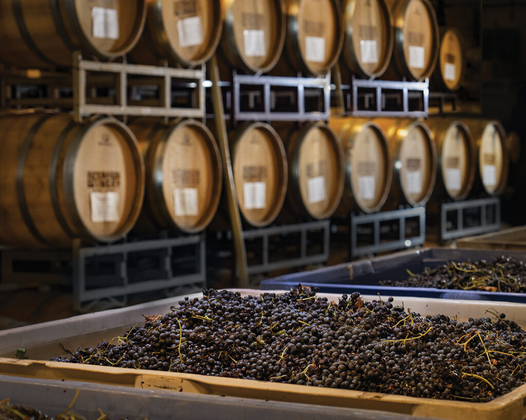 Family-Owned Bernardo Winery Continues its Winemaking Legacy — Ranch ...