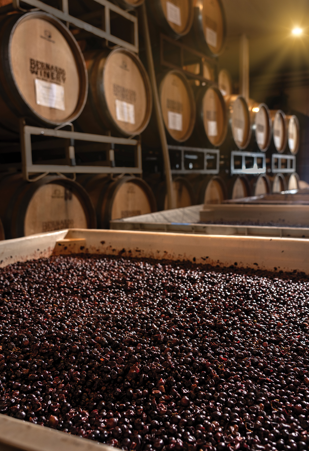 Family-Owned Bernardo Winery Continues its Winemaking Legacy — Ranch ...