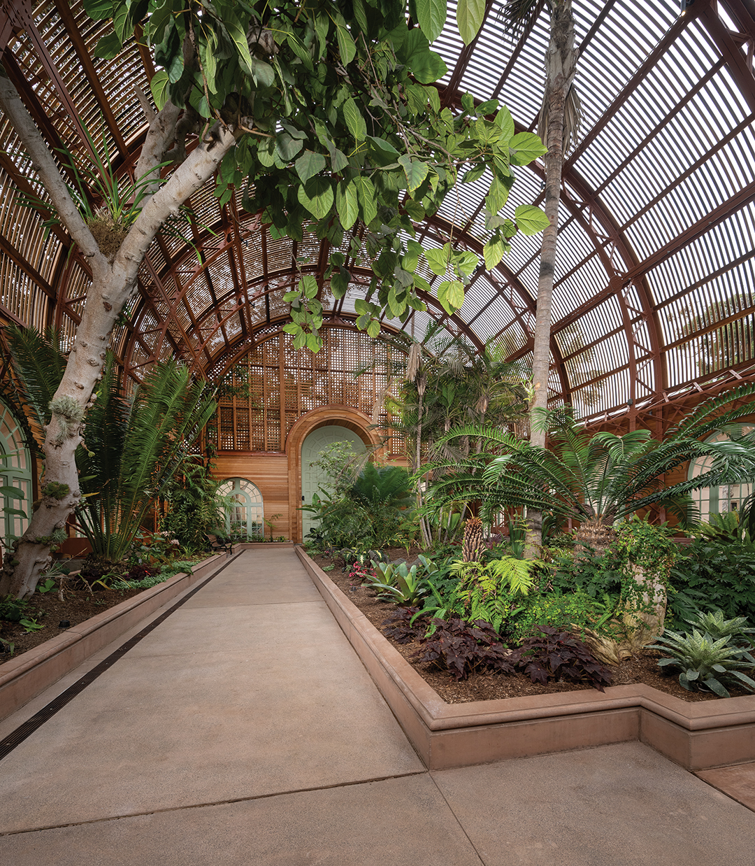 Balboa Park’s Botanical Building Reopens — Ranch & Coast Magazine