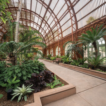 Balboa Park’s Botanical Building Reopens — Ranch & Coast Magazine