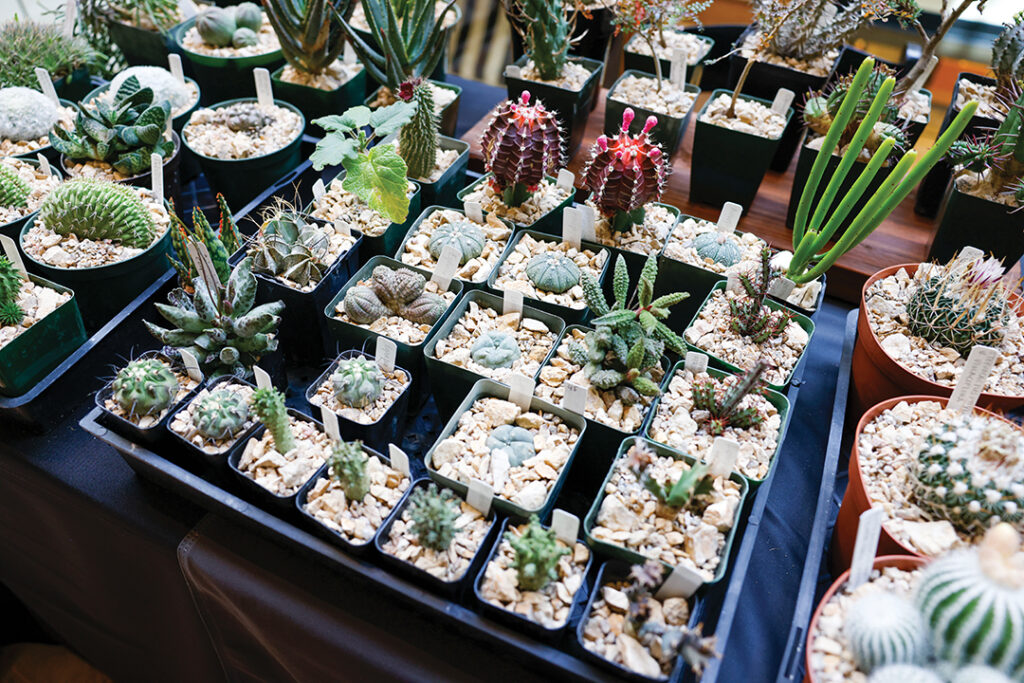 Southern California Spring Garden Show — Ranch & Coast Magazine